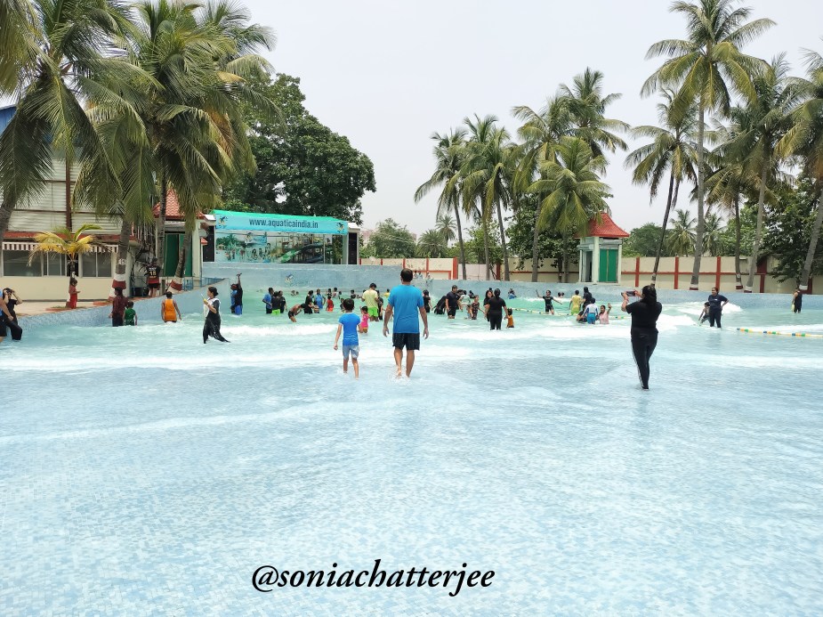 A family outing to Aquatica Water Park – soniasmusings