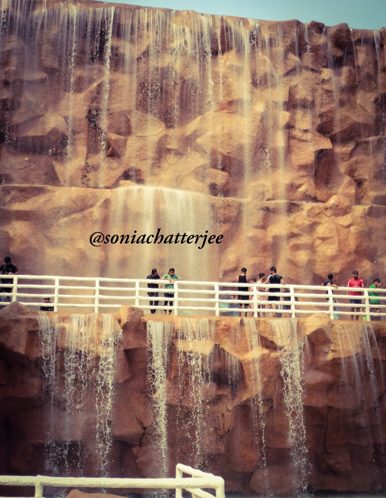 A family outing to Aquatica Water Park – soniasmusings